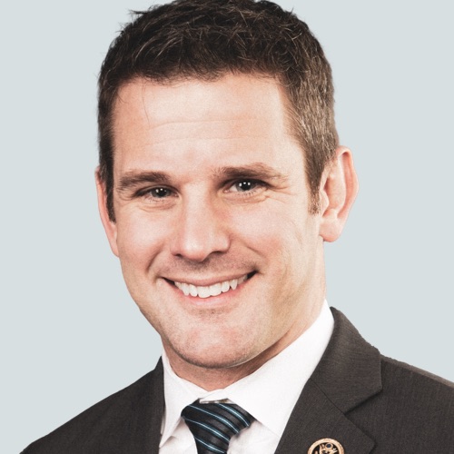 Rep. Adam Kinzinger - Republican Accountability Project